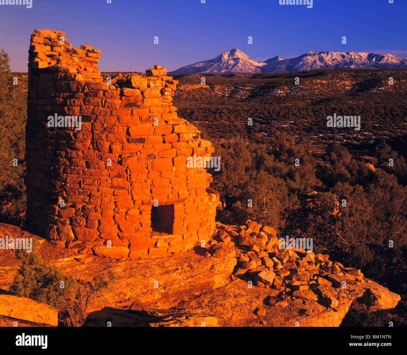 Tower ruin Canyons of the Ancients National Monument Colorado Stock ...