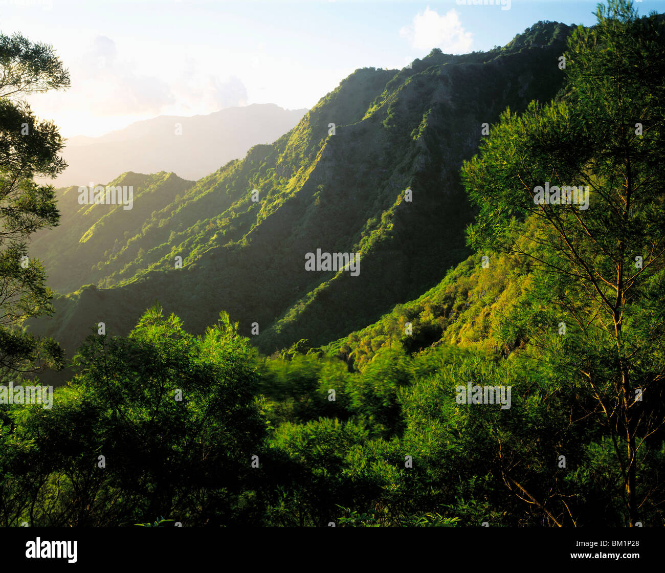 Waianae Mountains The Nature Conservancy Honouliuli Preserve Island of ...