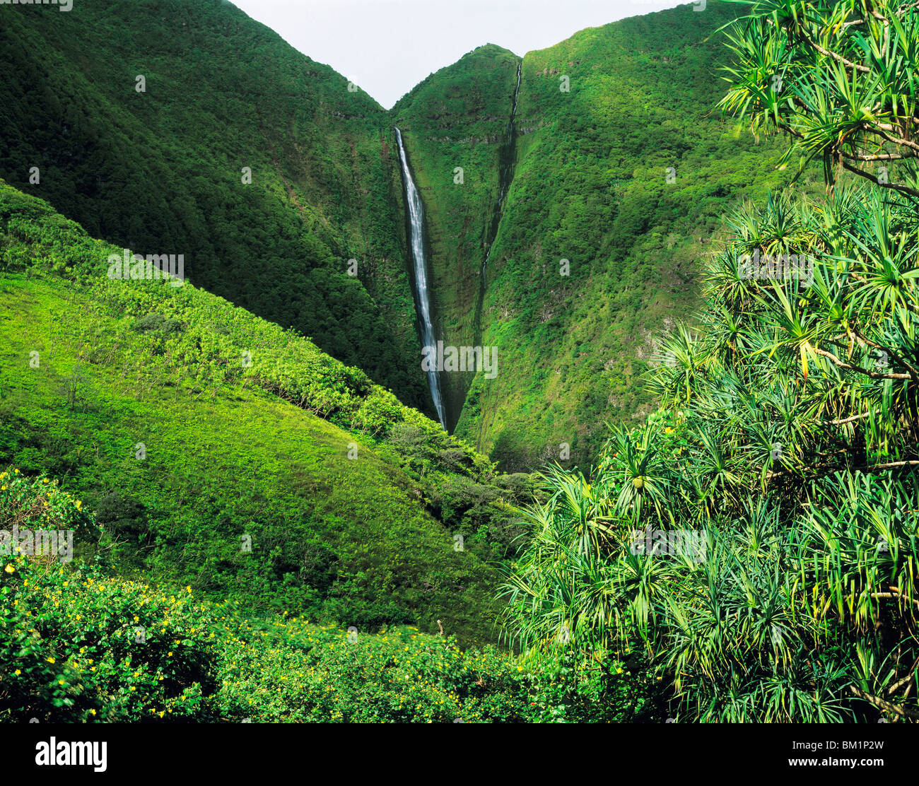 Papalaua hi-res stock photography and images - Alamy