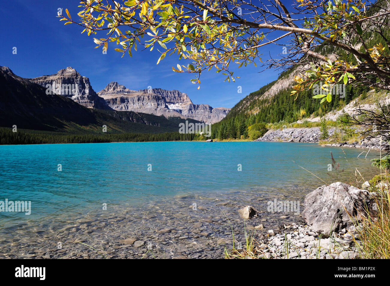 Waterfowl Lake, Banff National Park, UNESCO World Heritage Site, Rocky ...