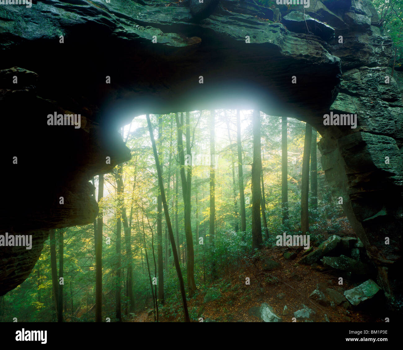 Split Bow Arch Big South Fork National River Recreation Area Kentucky ...