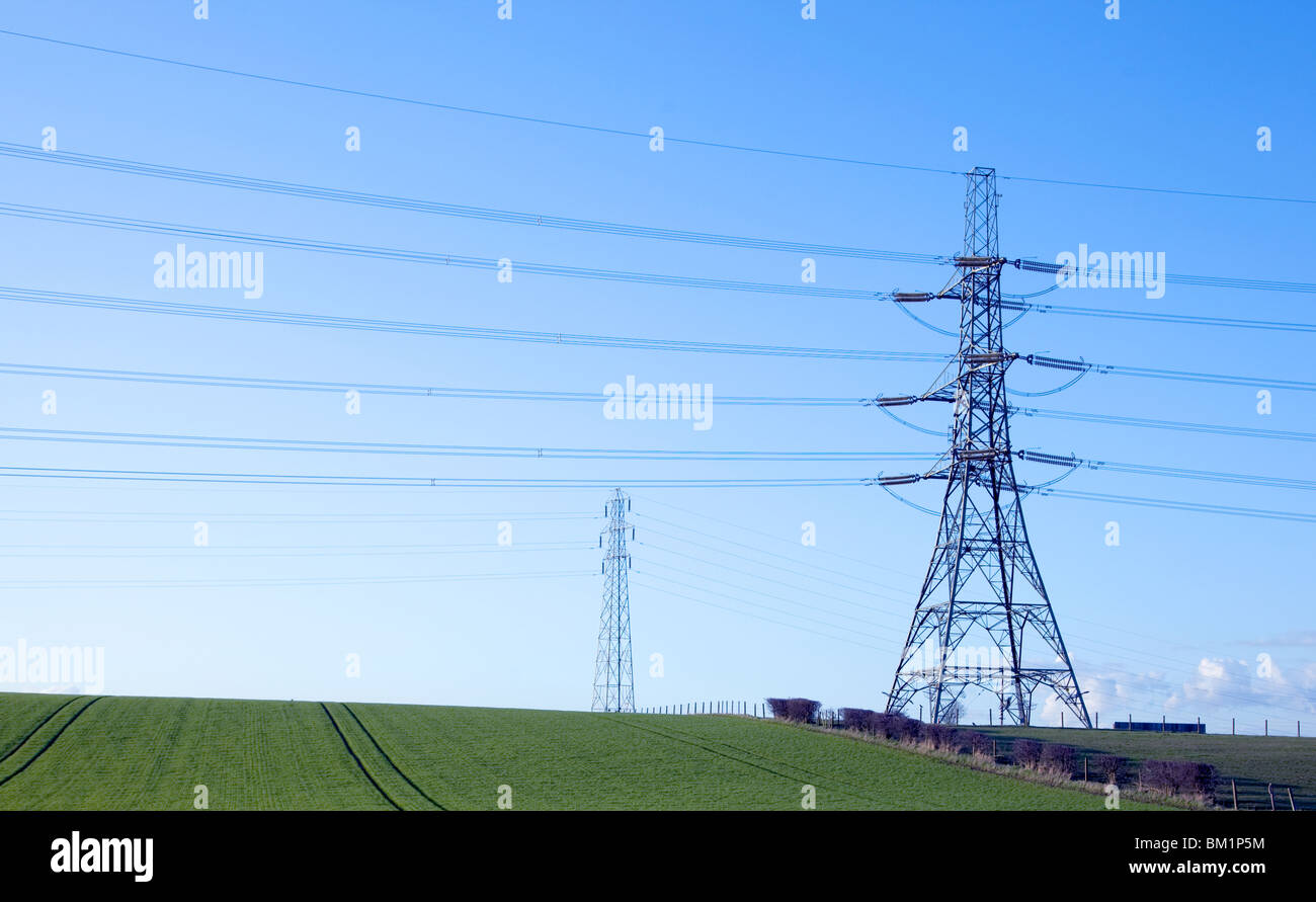 Electricity pylon in green field against a blue sky Stock Photo - Alamy