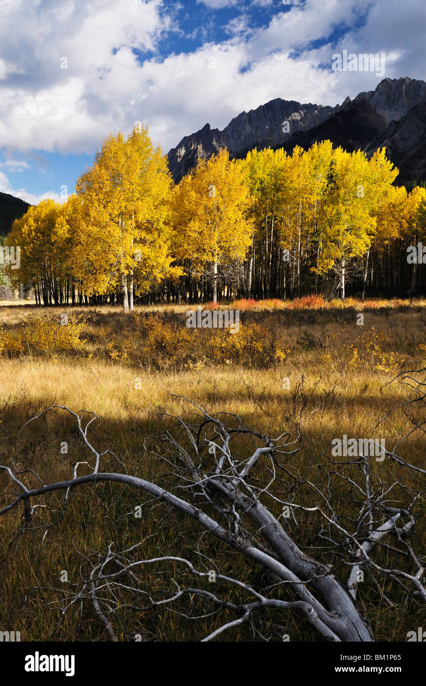Canada national colors High Resolution Stock Photography and Images - Alamy