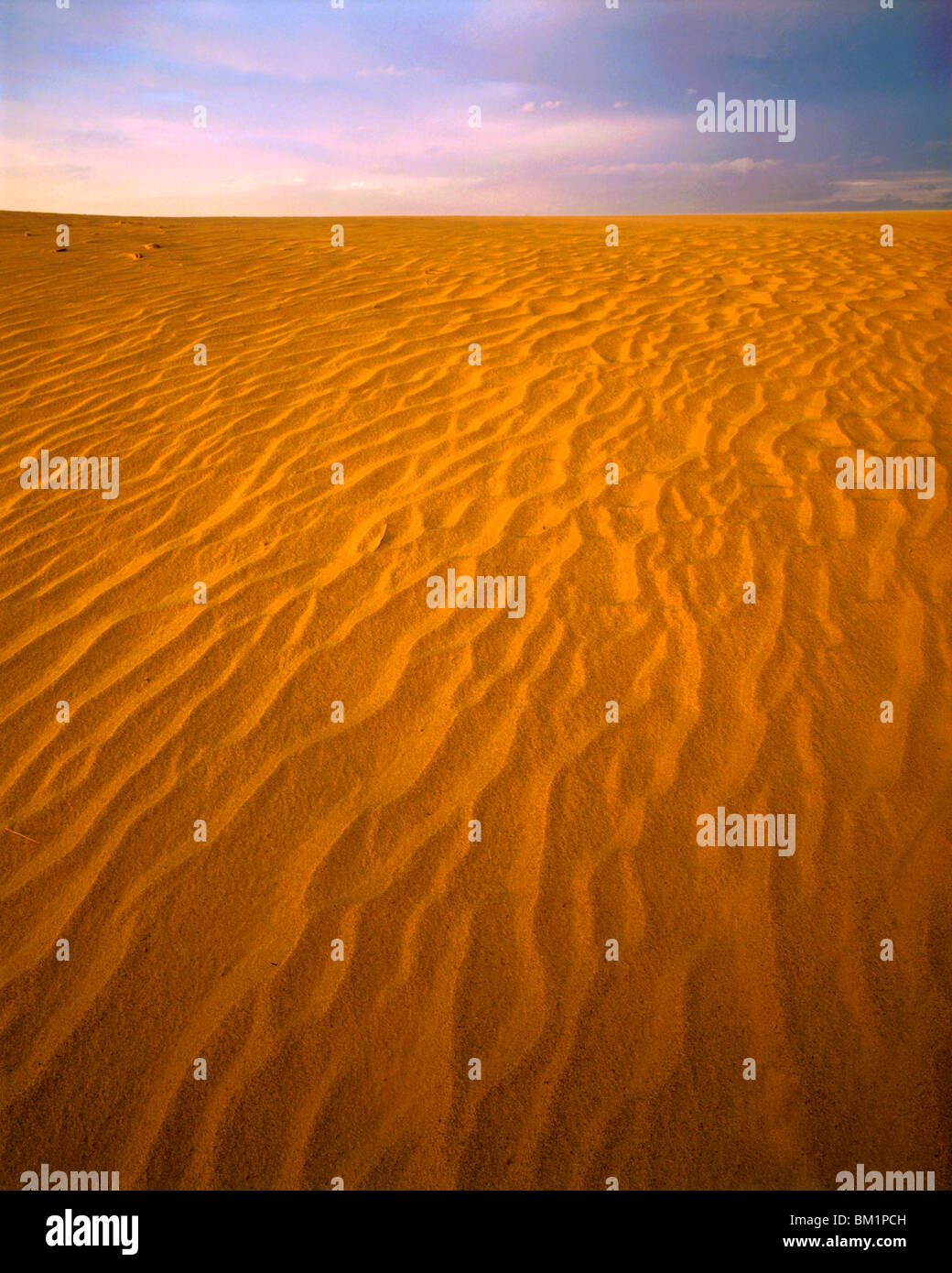 Little Sahara Dunes at Sunset Little Sahara State Park Oklahoma Stock ...