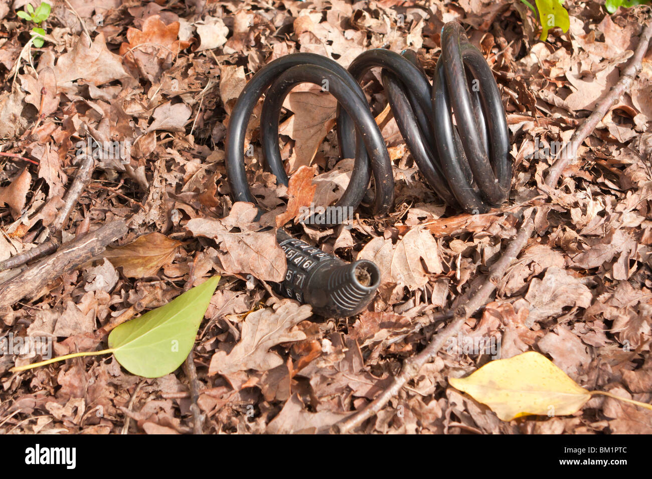 Dead lock hi-res stock photography and images - Alamy