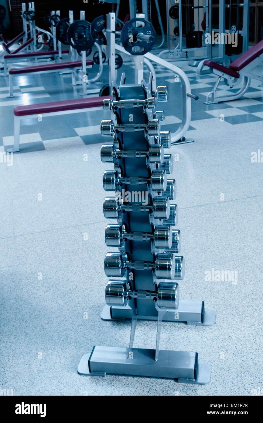 Dumbbells on a rack in a gym Stock Photo - Alamy