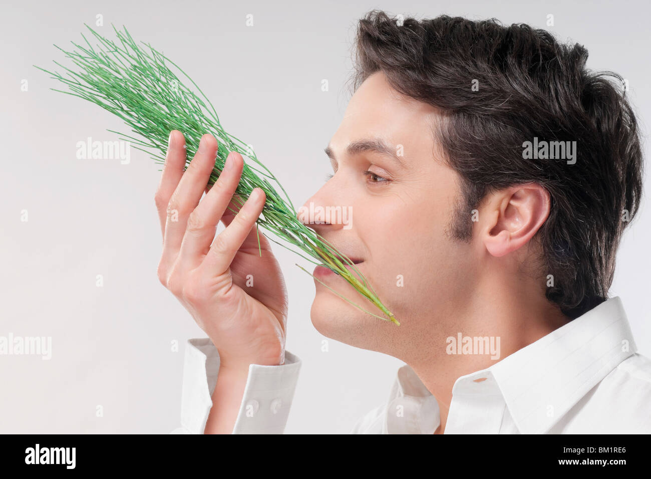 Man smelling aroma herbs Stock Photo - Alamy