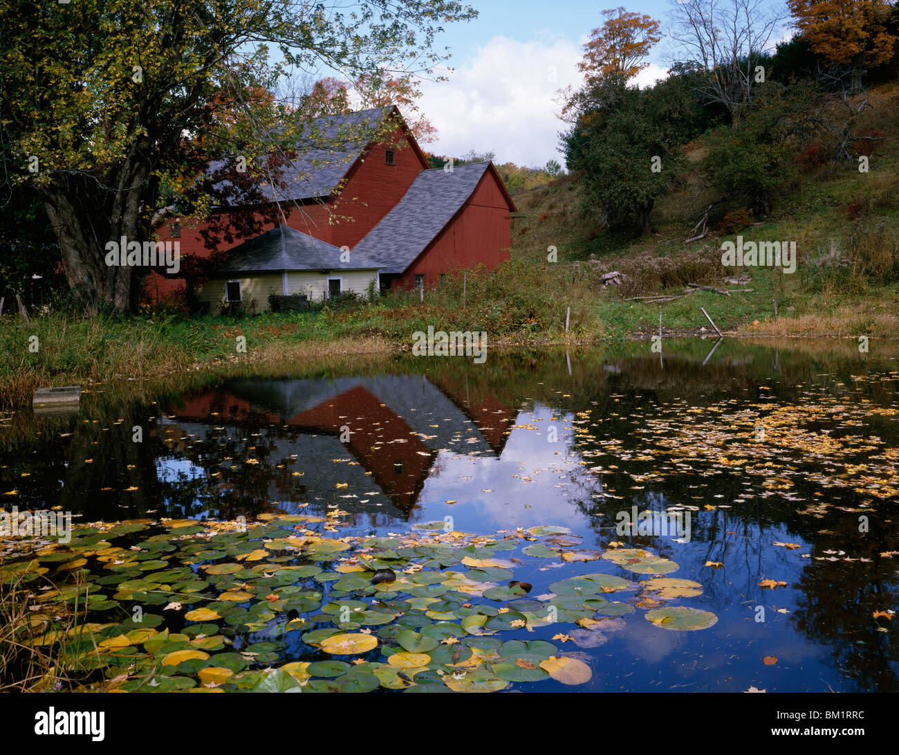 Barn along a pond hi-res stock photography and images - Alamy