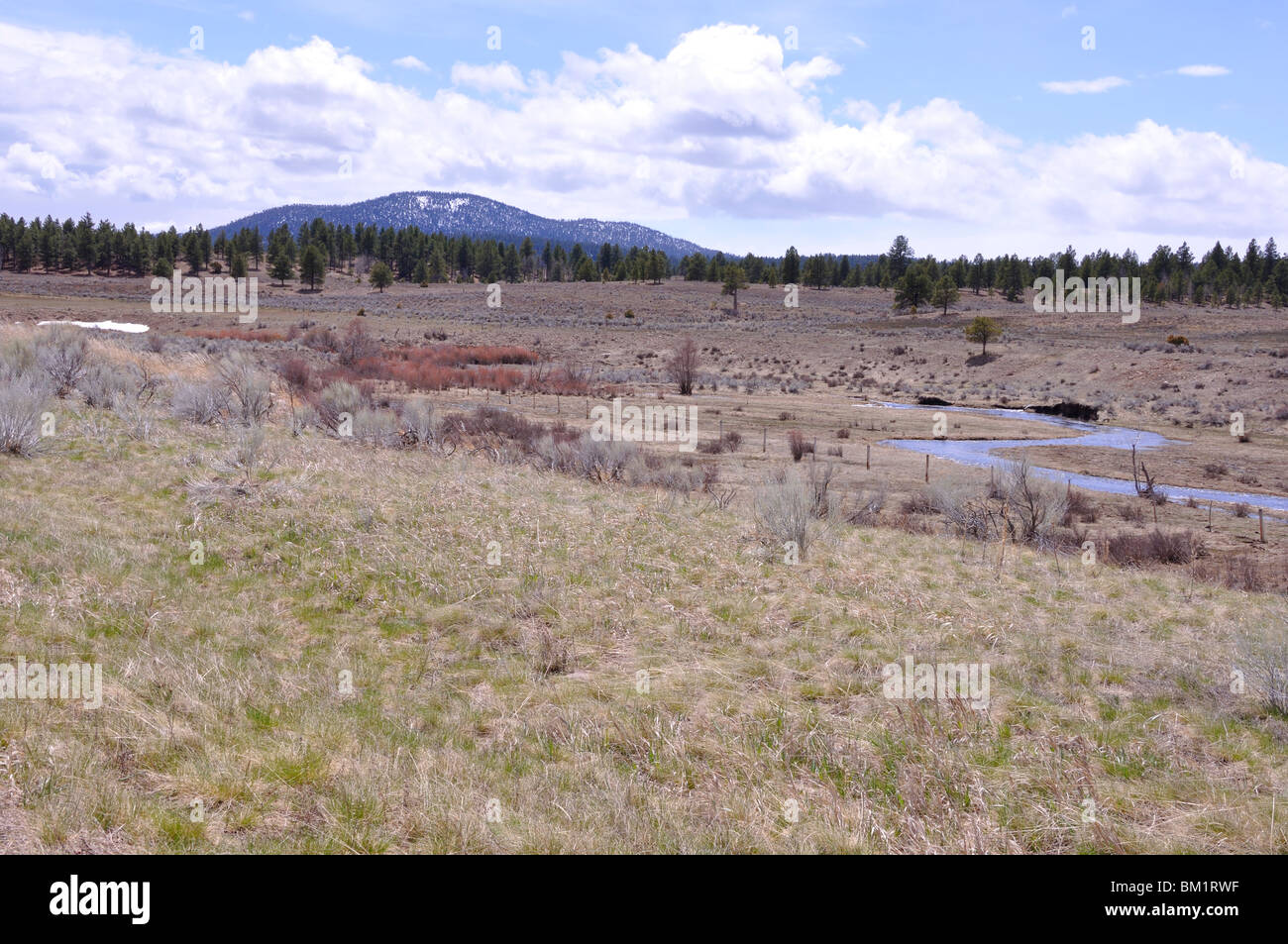 North spring river new mexico hi-res stock photography and images - Alamy