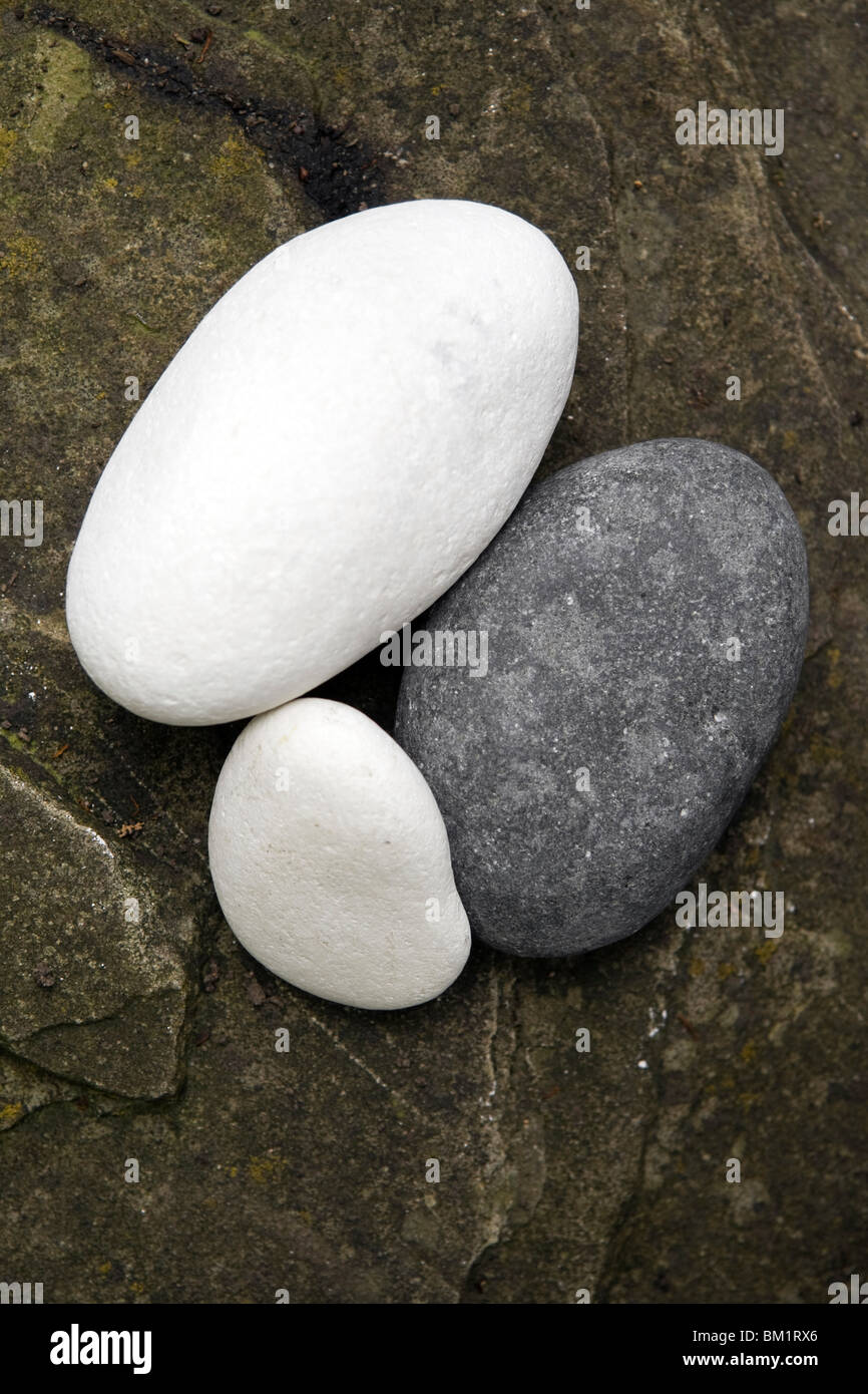 Three Pebbles on a slab of Yorkshire stone Stock Photo - Alamy