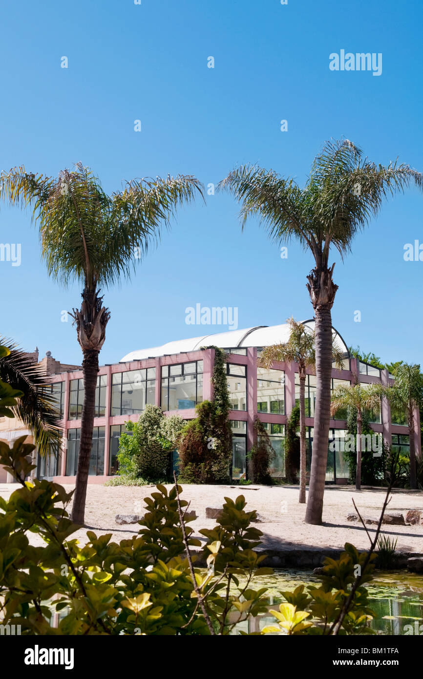 Palm trees resort building hi-res stock photography and images - Alamy