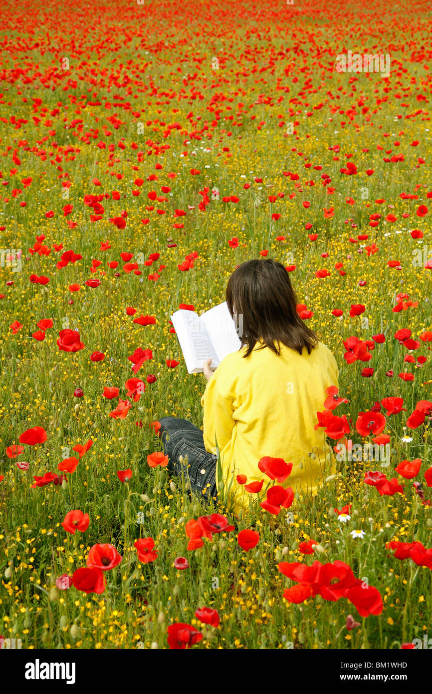 Reading a book in a poppies field Stock Photo - Alamy