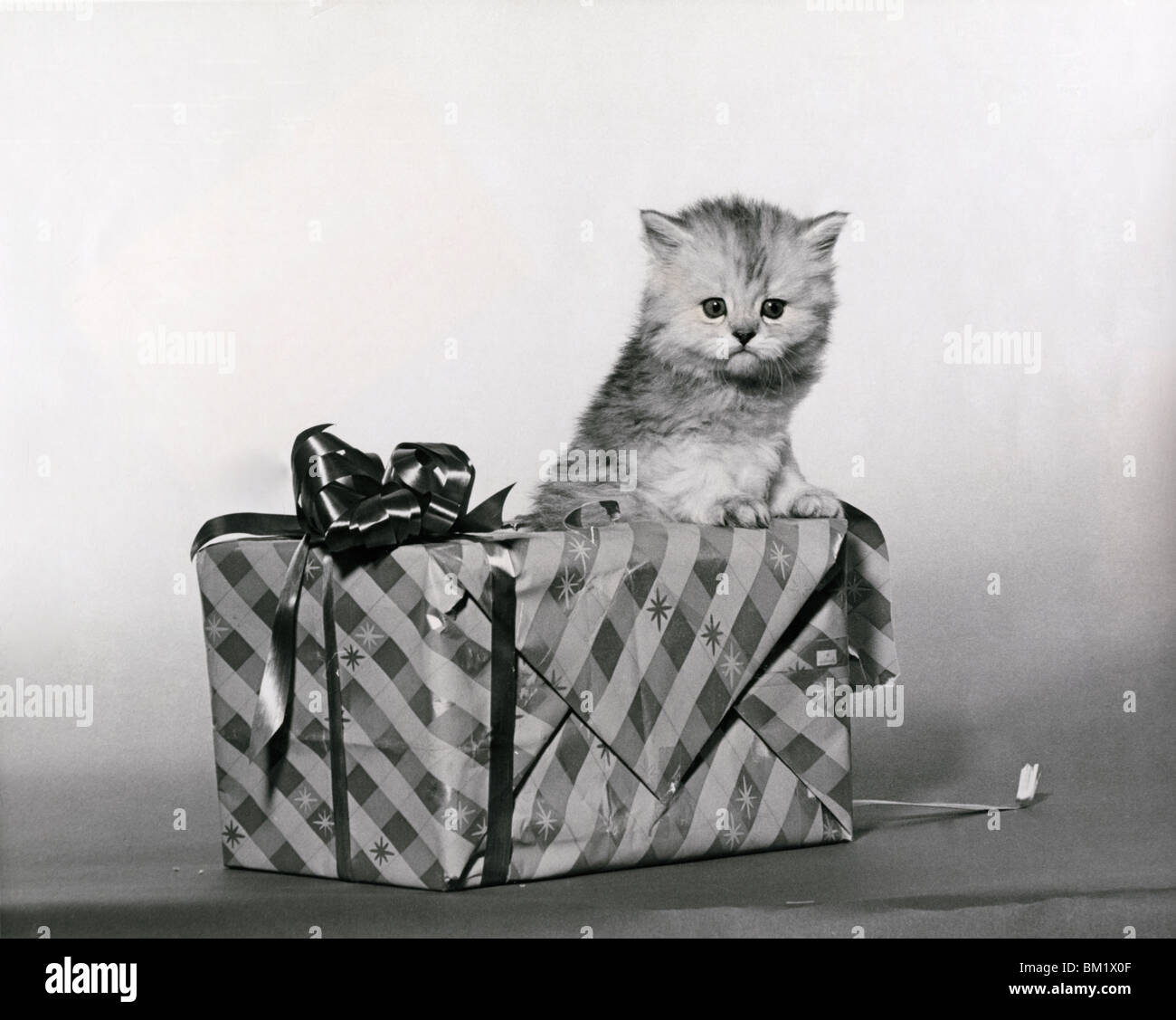 Open the gift hi-res stock photography and images - Alamy