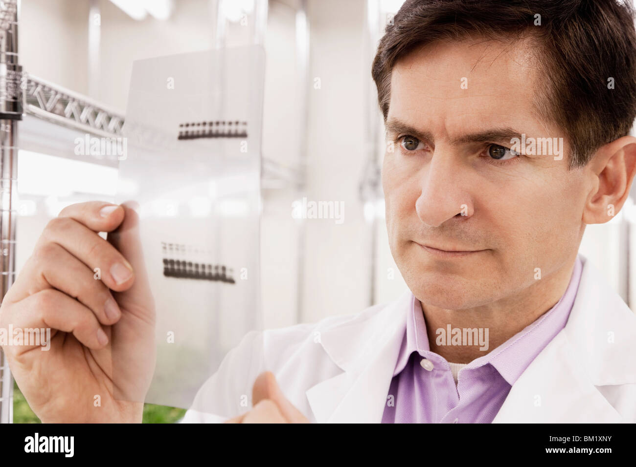 Biochemistry report hi-res stock photography and images - Alamy