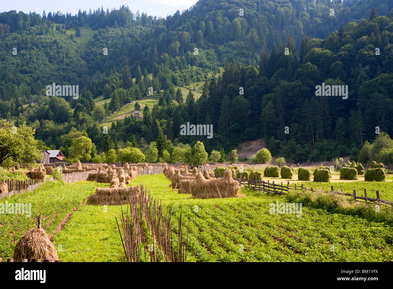Romania Countryside Stock Photos & Romania Countryside Stock Images - Alamy