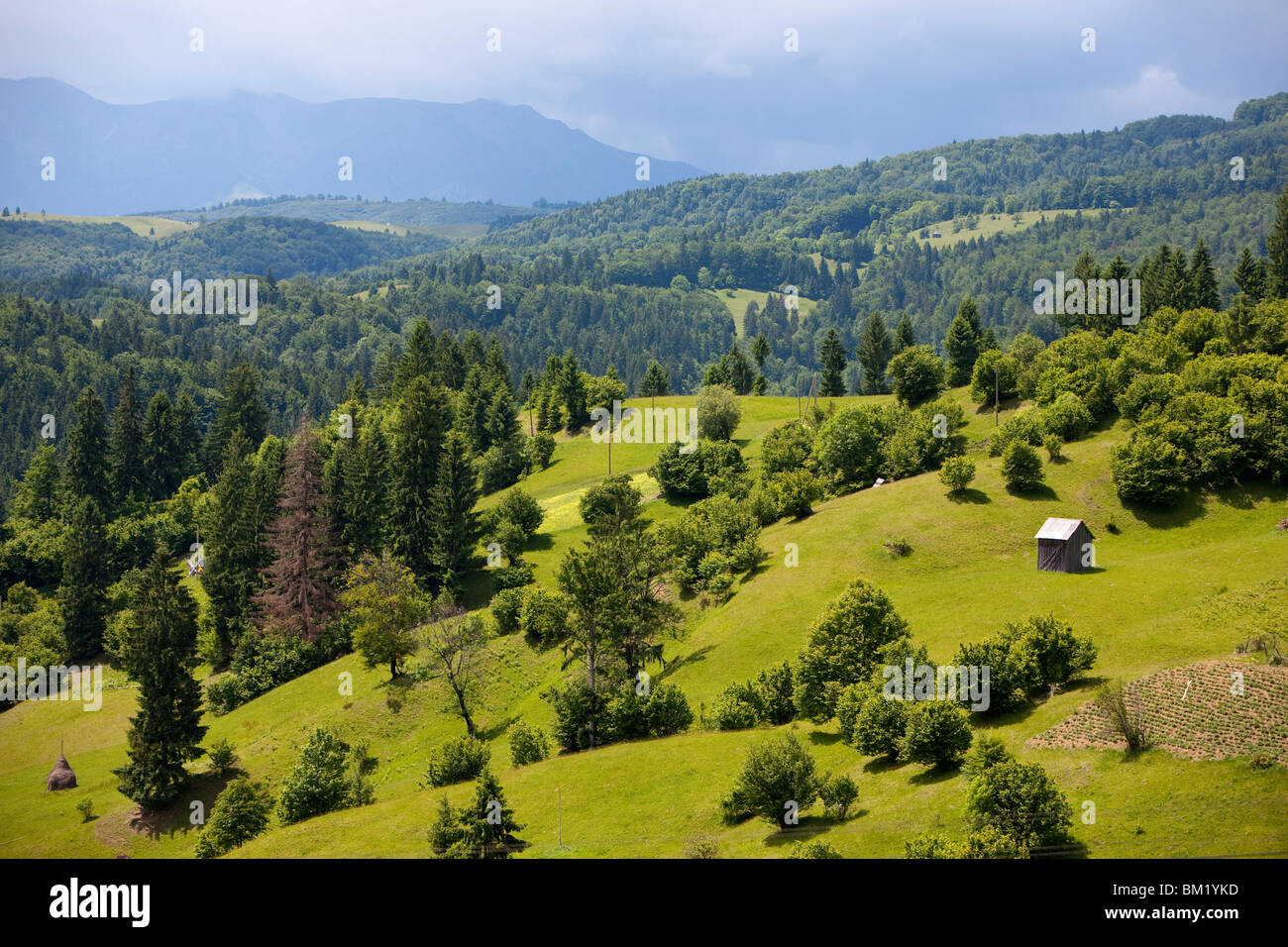 Maramures Romania High Resolution Stock Photography and Images - Alamy