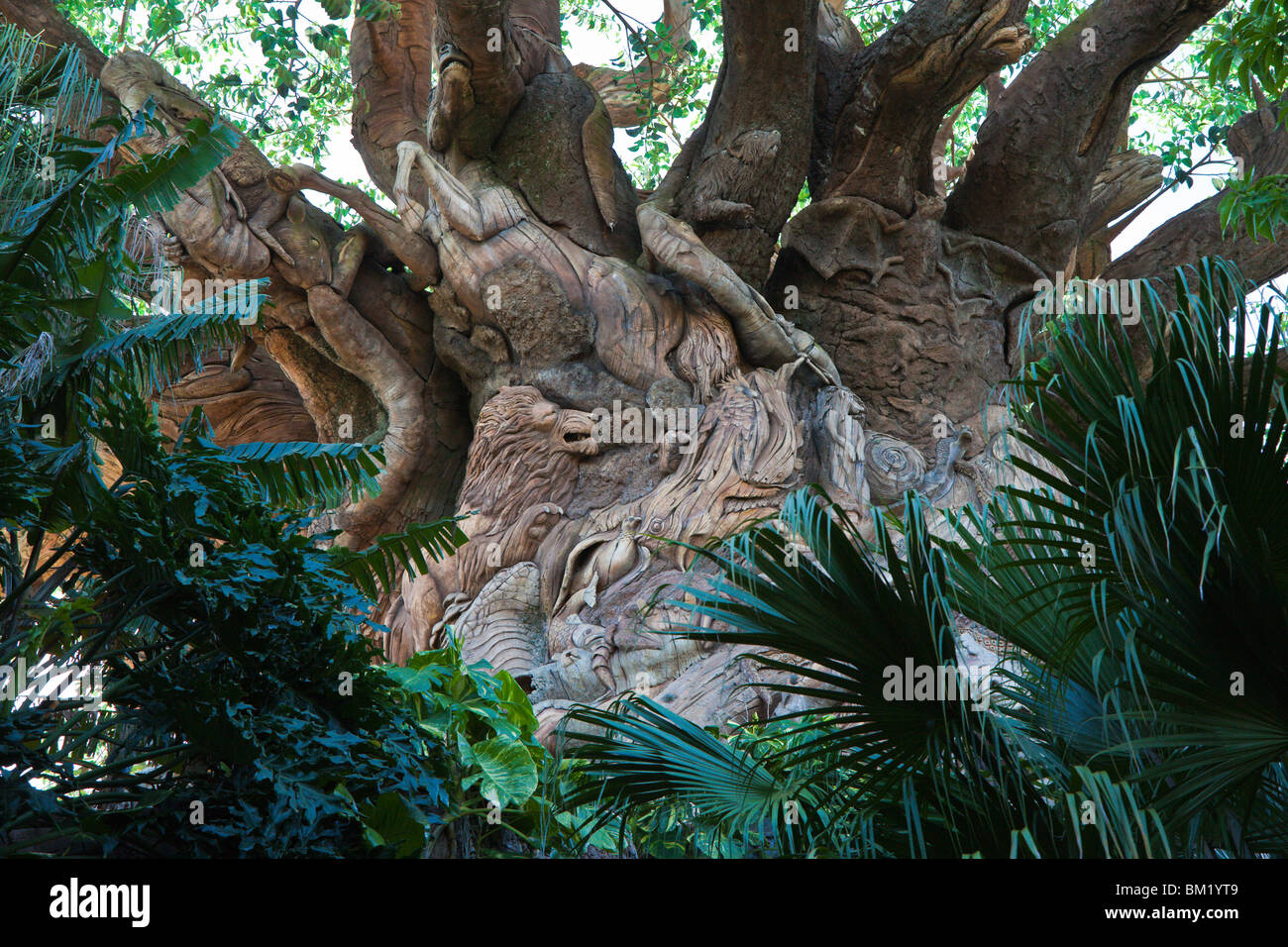 Orlando, FL - Jan 2009 - Animals carved into the Tree of Life at Disney ...