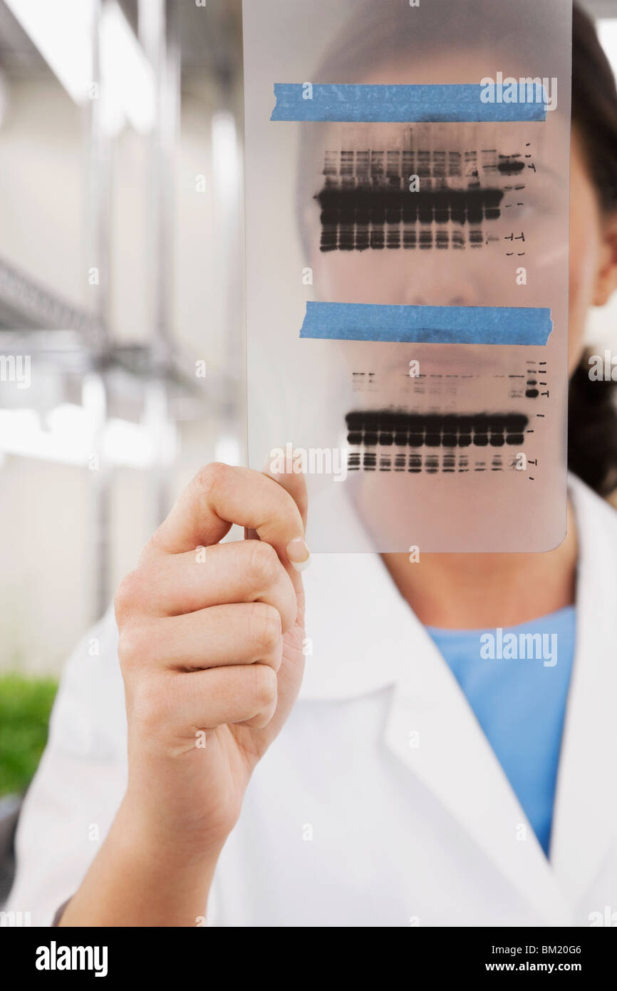 Female scientist examining a report in a laboratory Stock Photo - Alamy