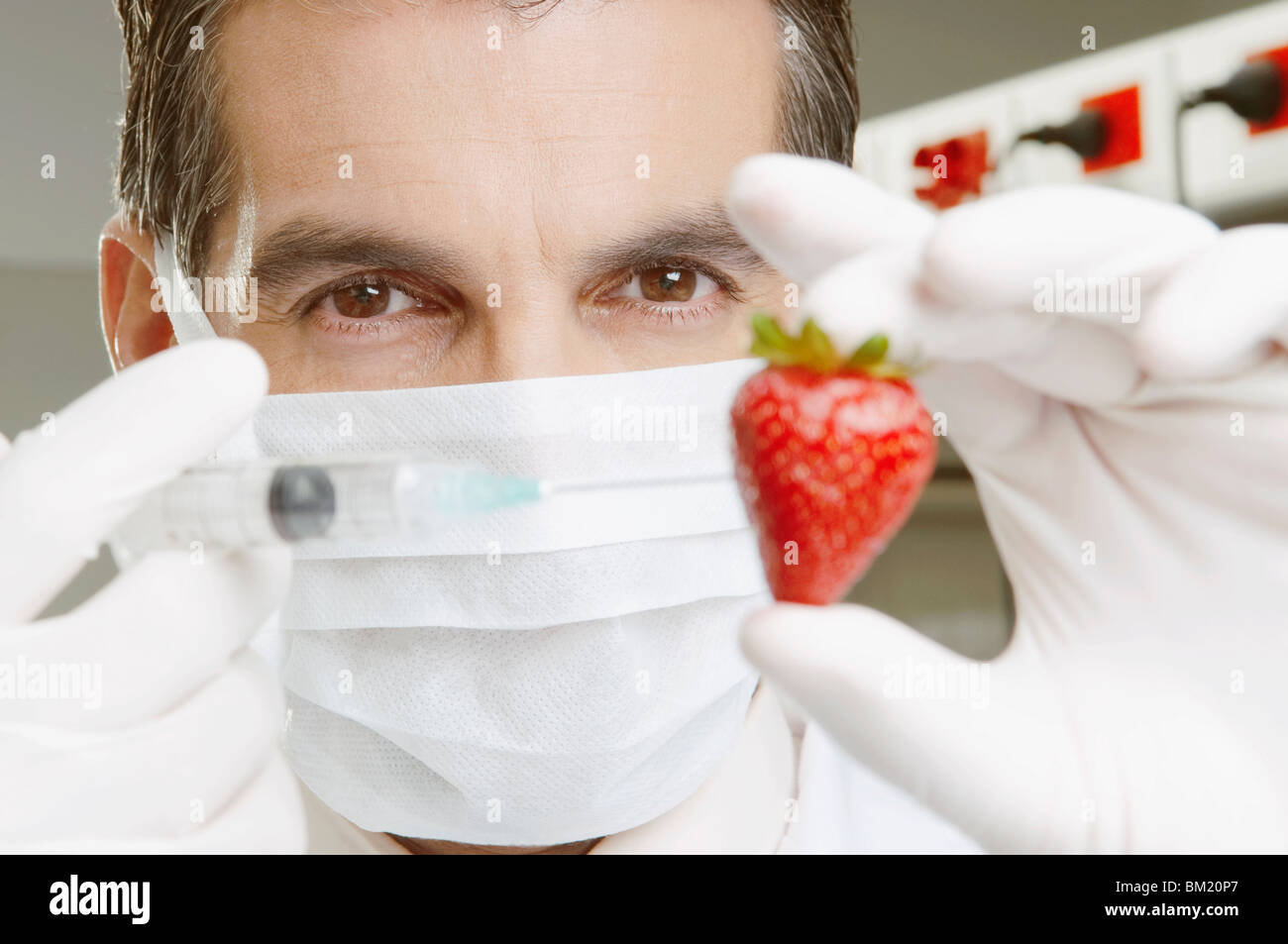 Lab technician injecting into a strawberry Stock Photo - Alamy