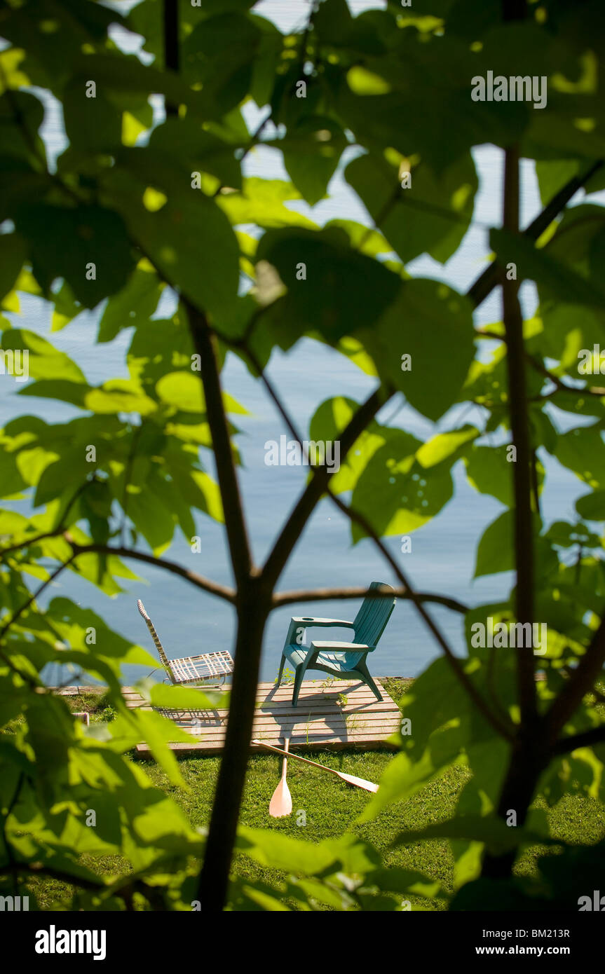 Two chairs and oars at the lakeside viewed from the branches of a tree ...
