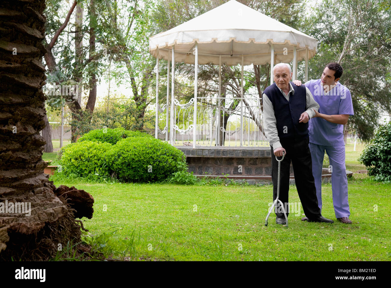 Patient tree hi-res stock photography and images - Alamy