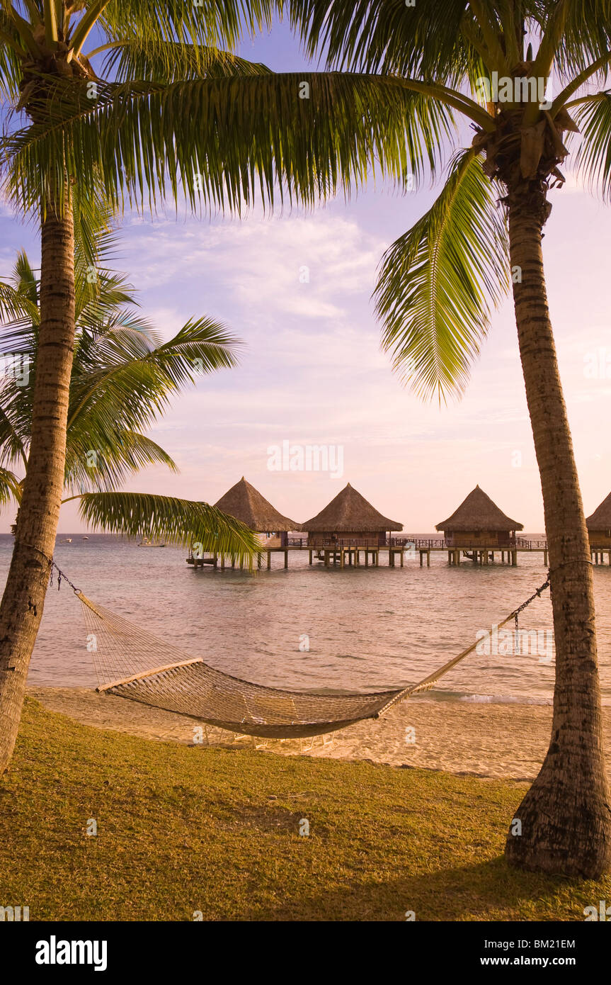 Kia ora hi-res stock photography and images - Alamy