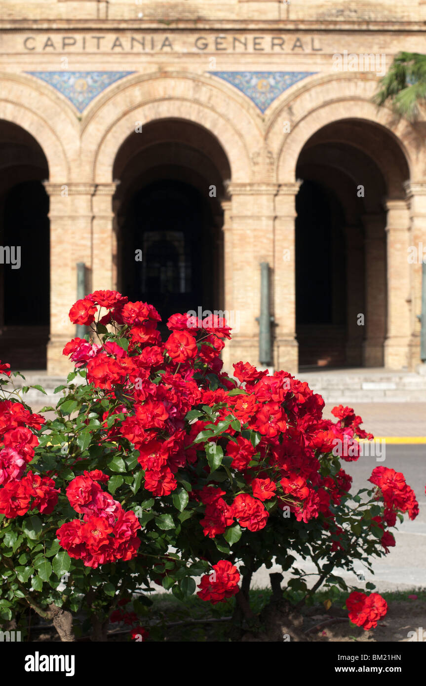 Seville flowers hi-res stock photography and images - Alamy