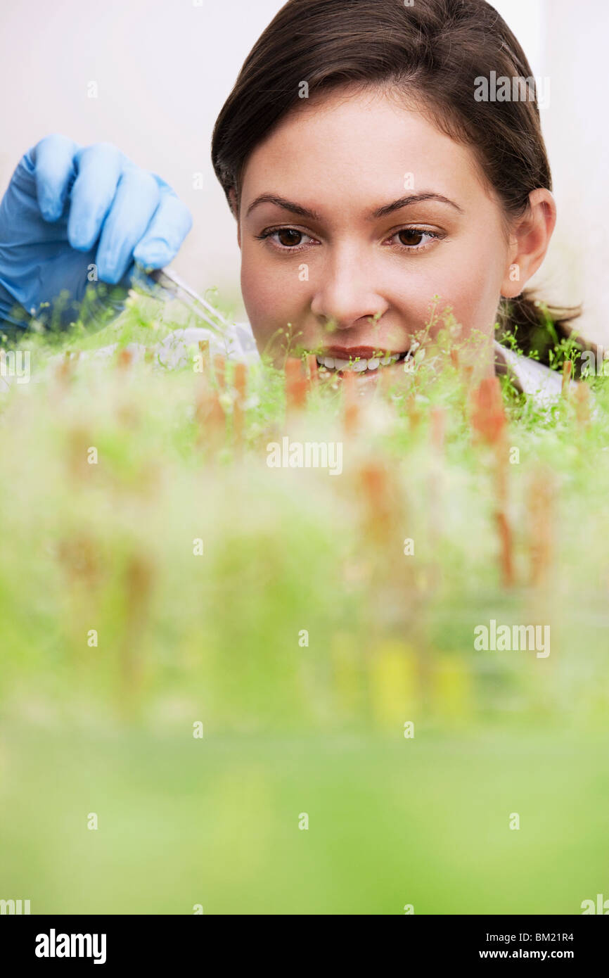 Female scientist researching on plants in a laboratory Stock Photo - Alamy