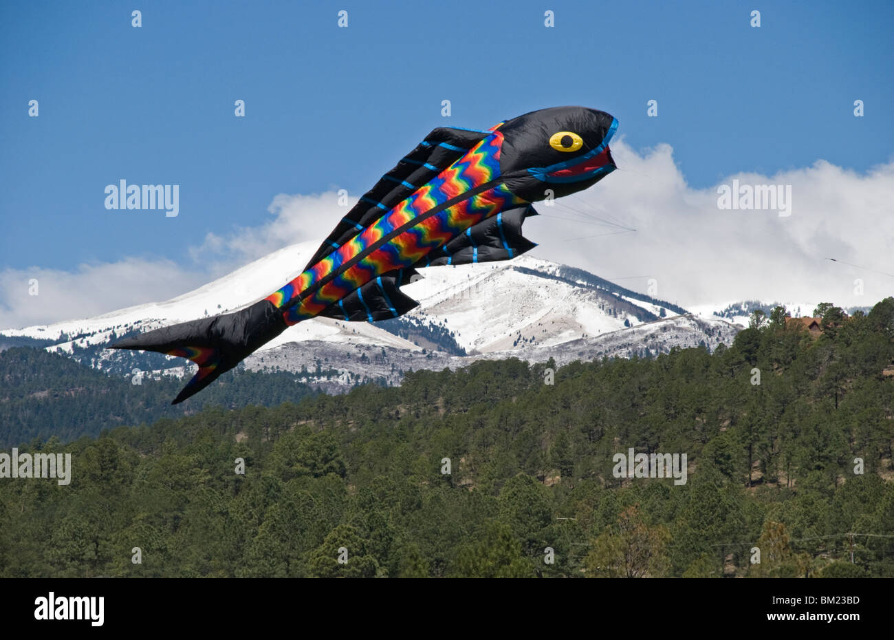 Beautiful kites hi-res stock photography and images - Alamy