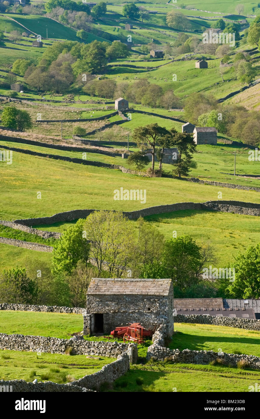 Traditional barns and dry stone walls in Swaledale, Yorkshire Dales ...