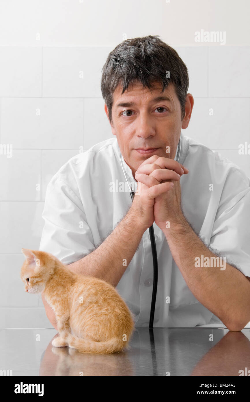 Vet and cat hi-res stock photography and images - Alamy