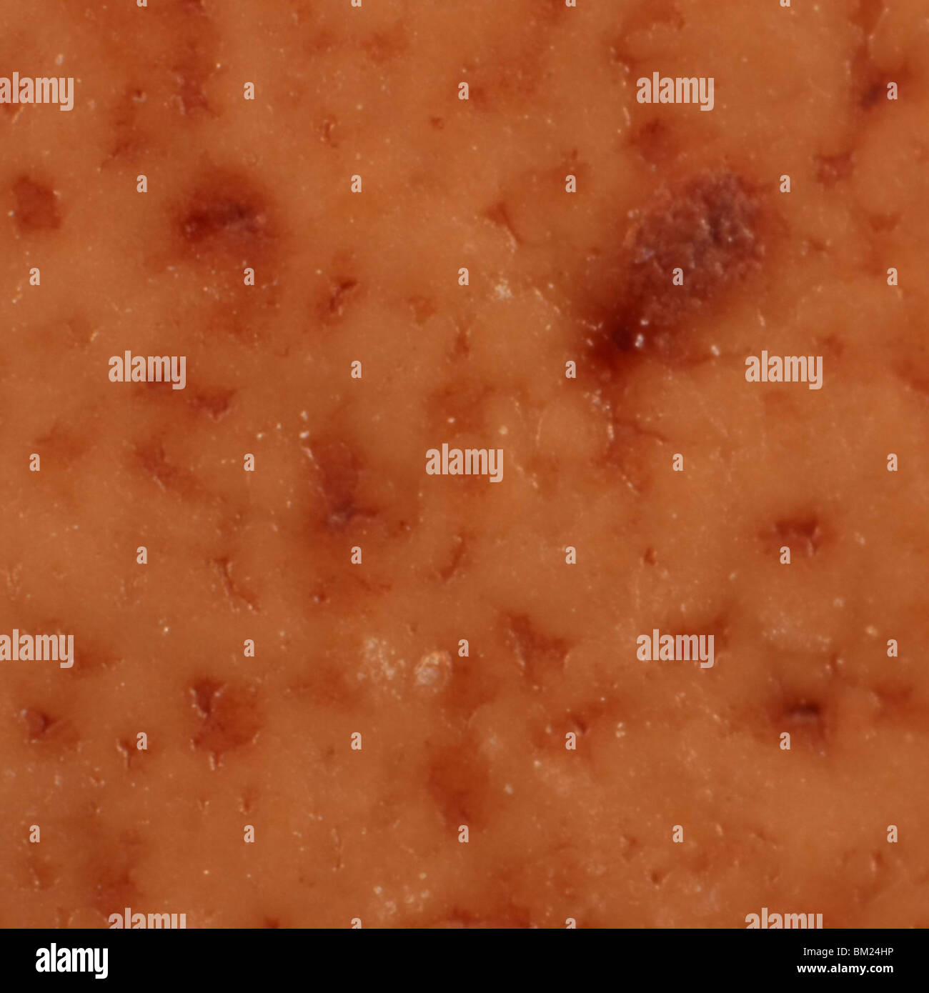 Egg shell microscope hi-res stock photography and images - Alamy