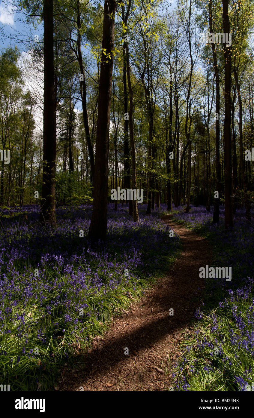 Meandering path hi-res stock photography and images - Alamy