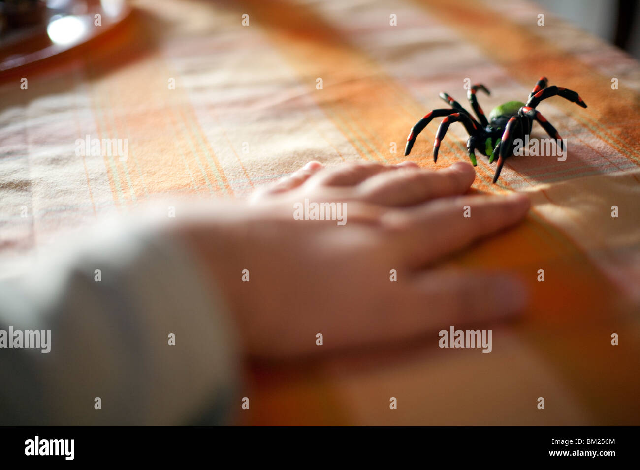 Child's hand playing with a plastic spider on a table, Seville, Spain ...