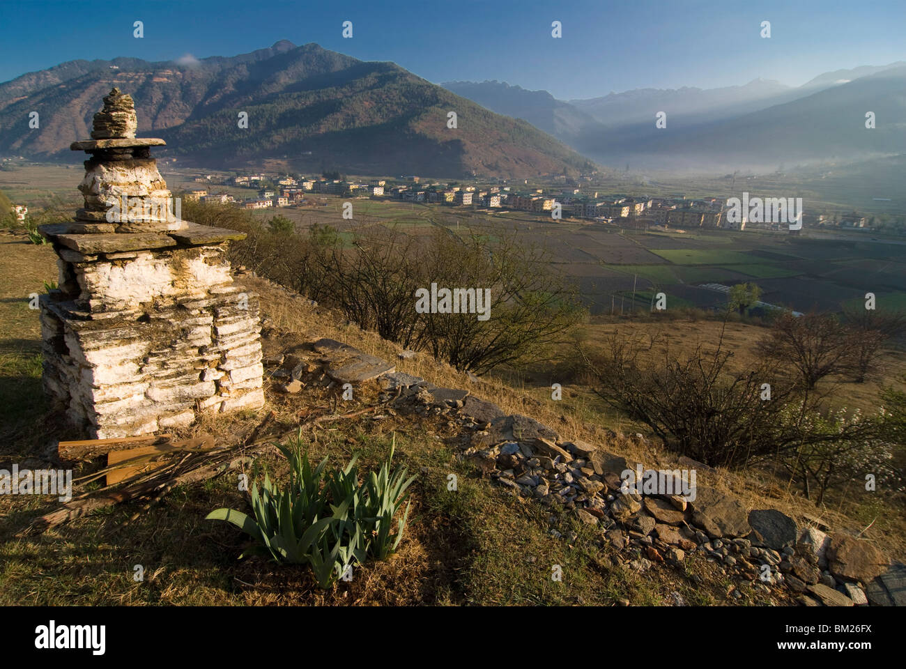 Paru paru hi-res stock photography and images - Alamy