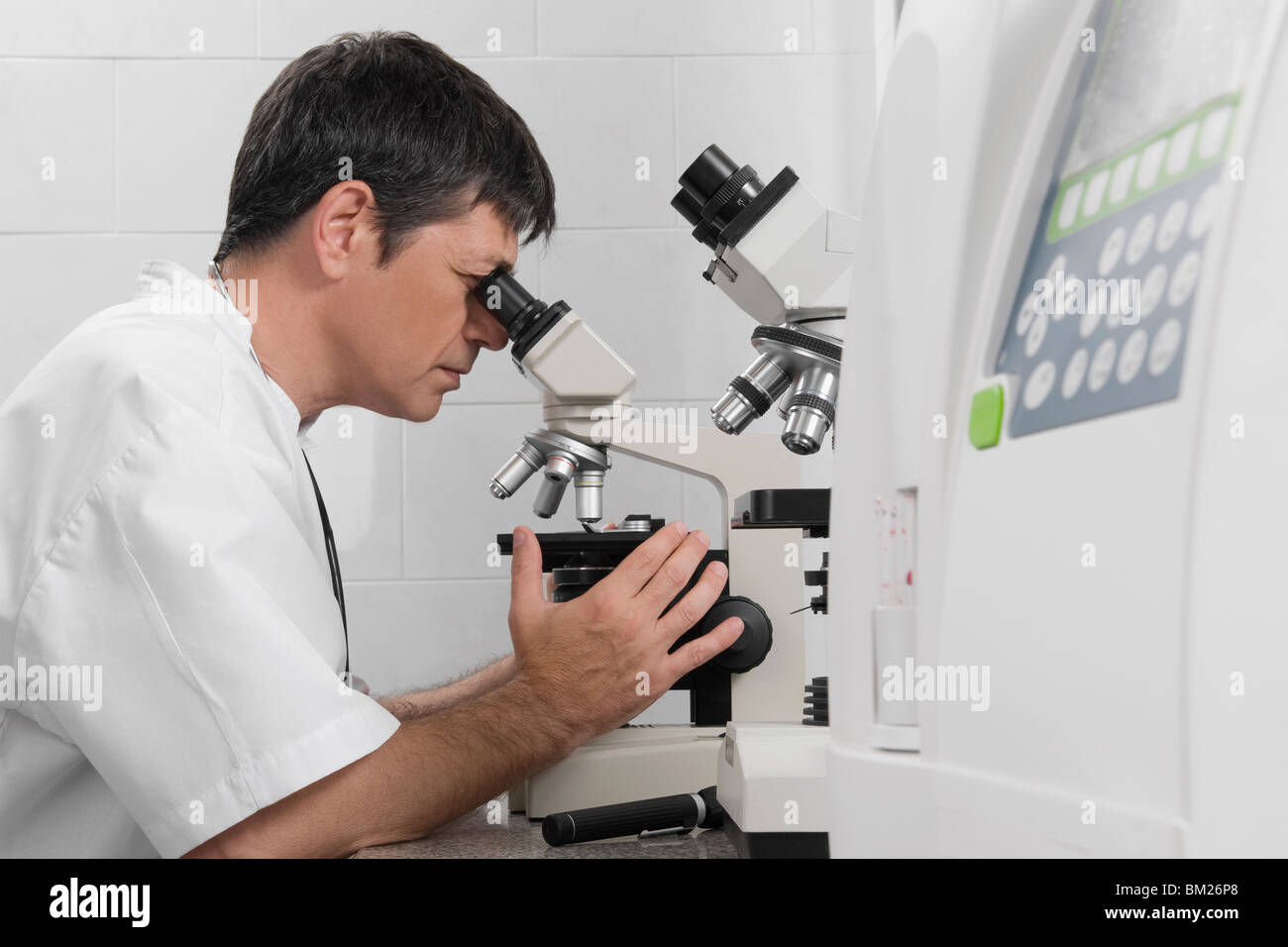 Vet looking into a microscope Stock Photo - Alamy