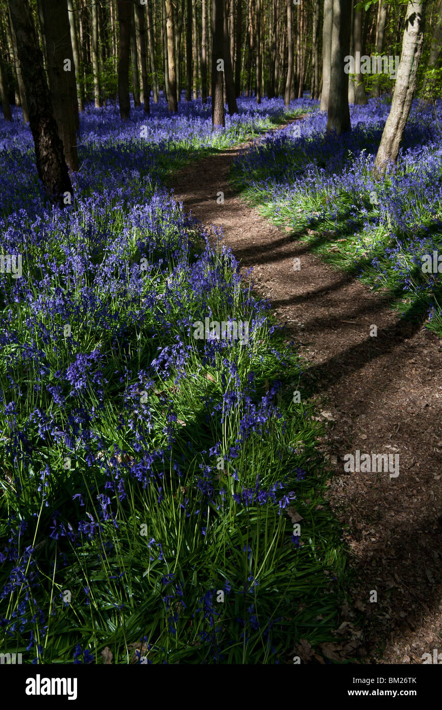 Meandering path hi-res stock photography and images - Alamy