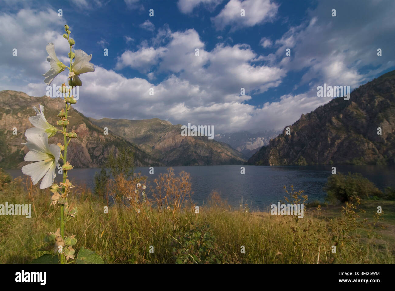 Sary Chelek UNESCO Biosphere Reservoir, Kyrgyzstan, Central Asia Stock ...