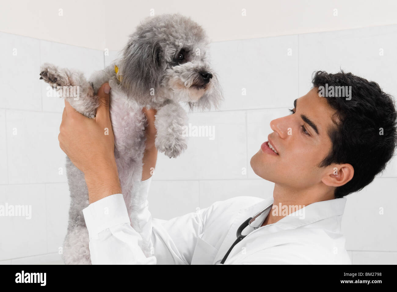 Vet carrying a dog Stock Photo - Alamy