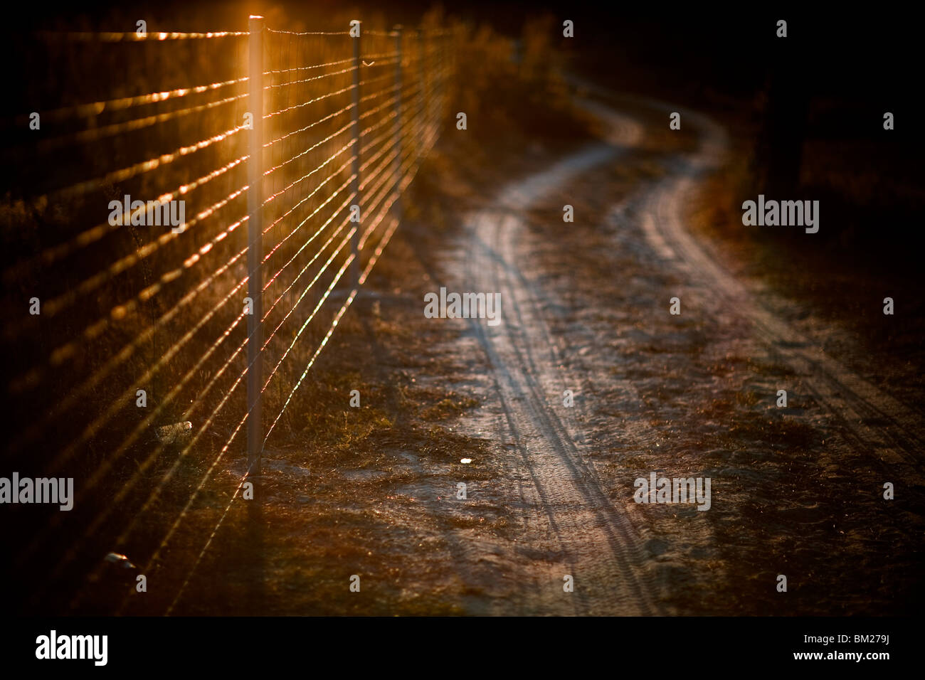 Wire fence in the countryside, Seville, Spain Stock Photo - Alamy