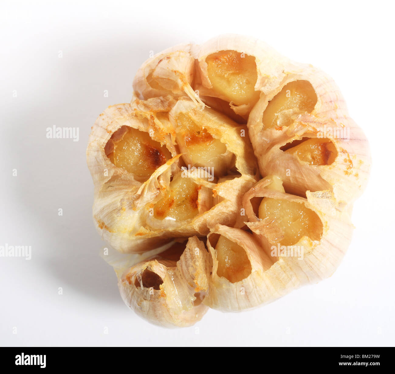 View from above of a head of garlic over a white background with a ...