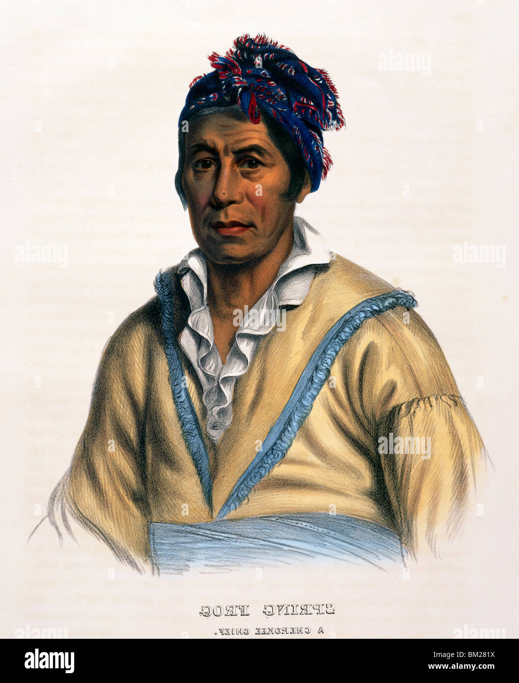 Spring Frog (Cherokee Chief) by Charles Bird King from Pablo Prints ...