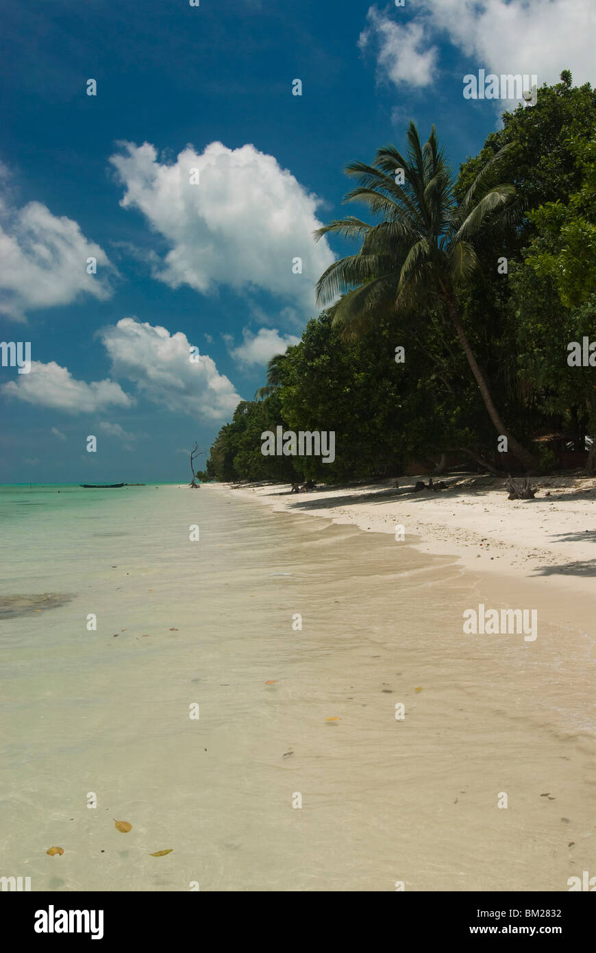 Havelock island andaman beach hi-res stock photography and images - Alamy