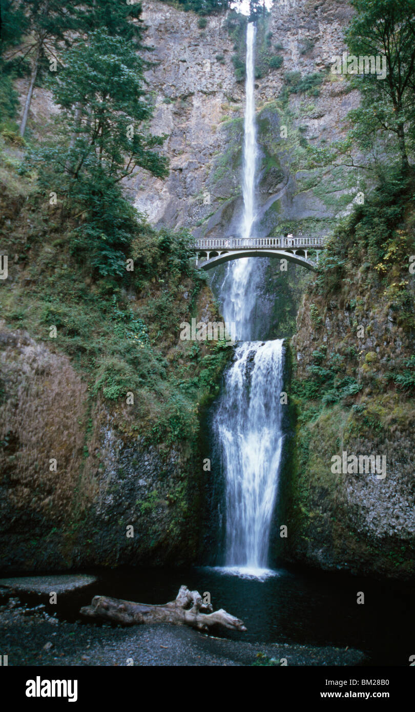 Waterfall in a forest, Multnomah Falls, Columbia River Gorge, Oregon ...