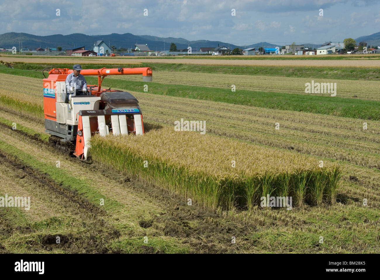 Japan rice harvester hi-res stock photography and images - Alamy