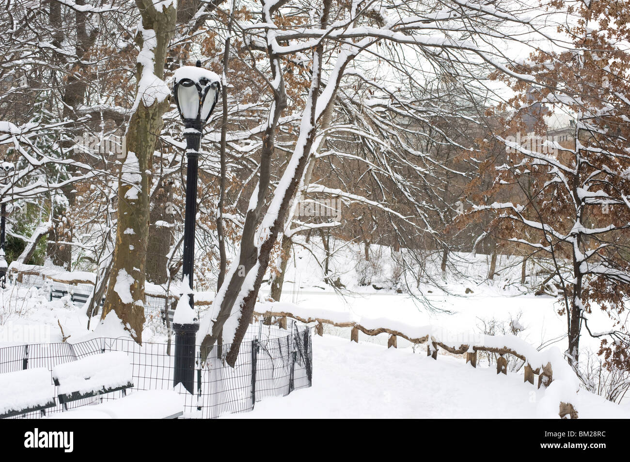 The Ramble in Central Park after a snowstorm, New York City, New York ...