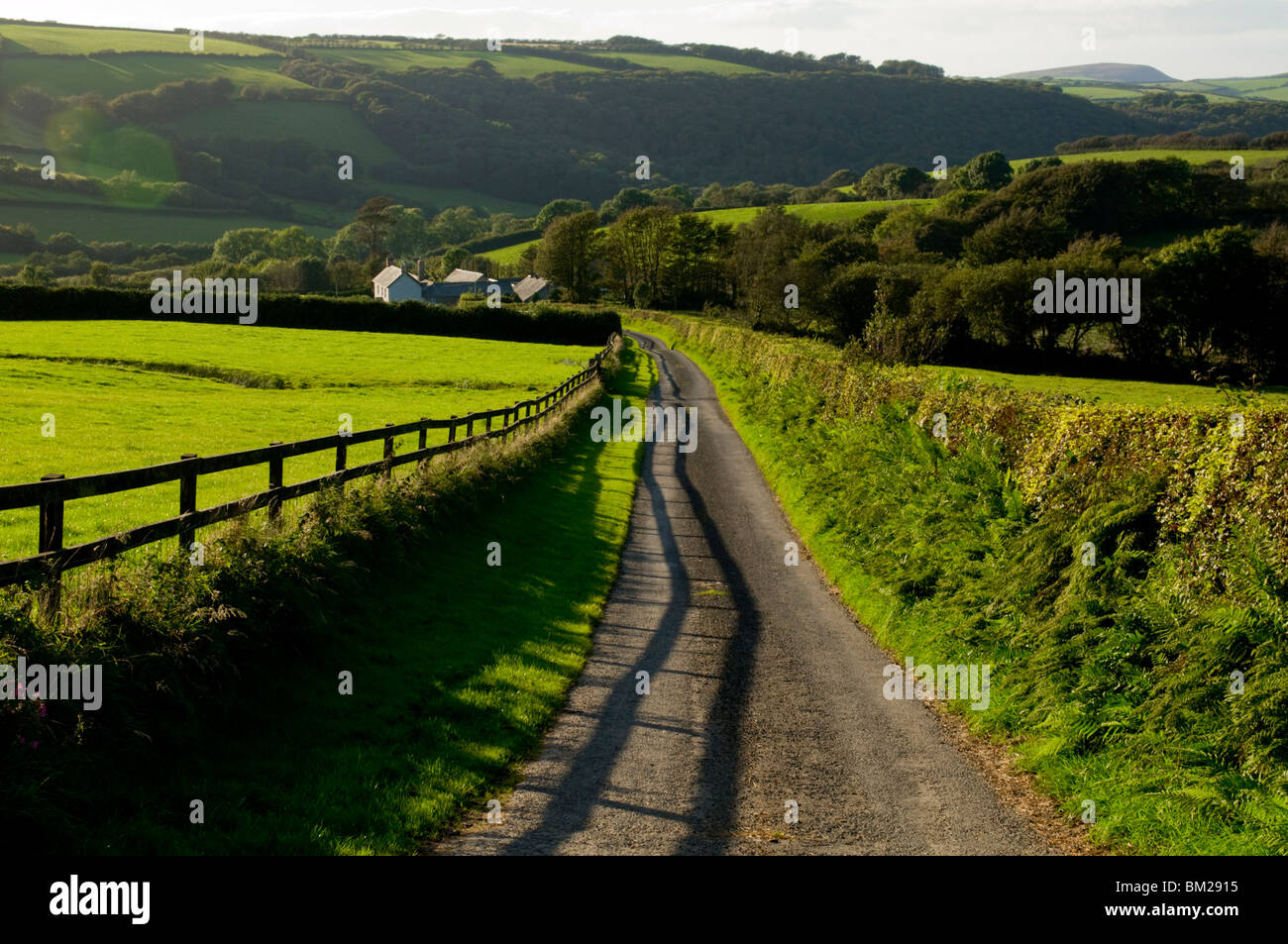 Devon Lanes High Resolution Stock Photography and Images - Alamy