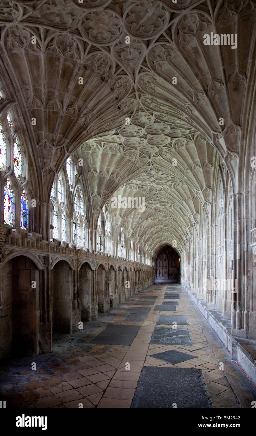 Interior of cloisters with fan vaulting, Gloucester Cathedral ...