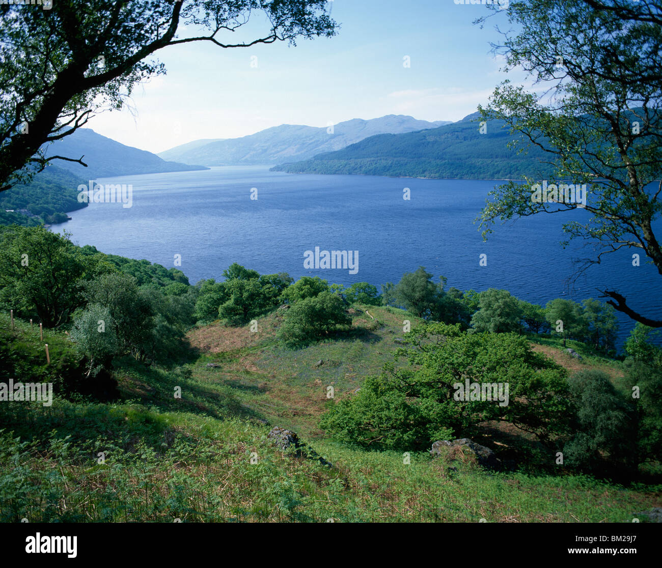 Elevated view tranquil lake hi-res stock photography and images - Alamy