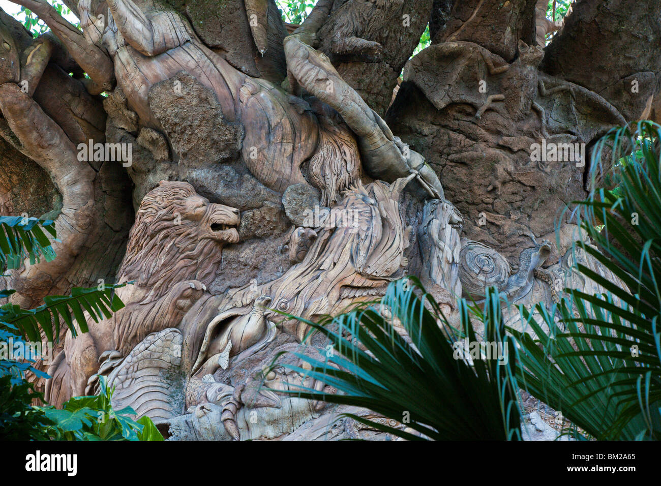 Orlando, FL - Jan 2009 - Animals carved into the Tree of Life at Disney ...